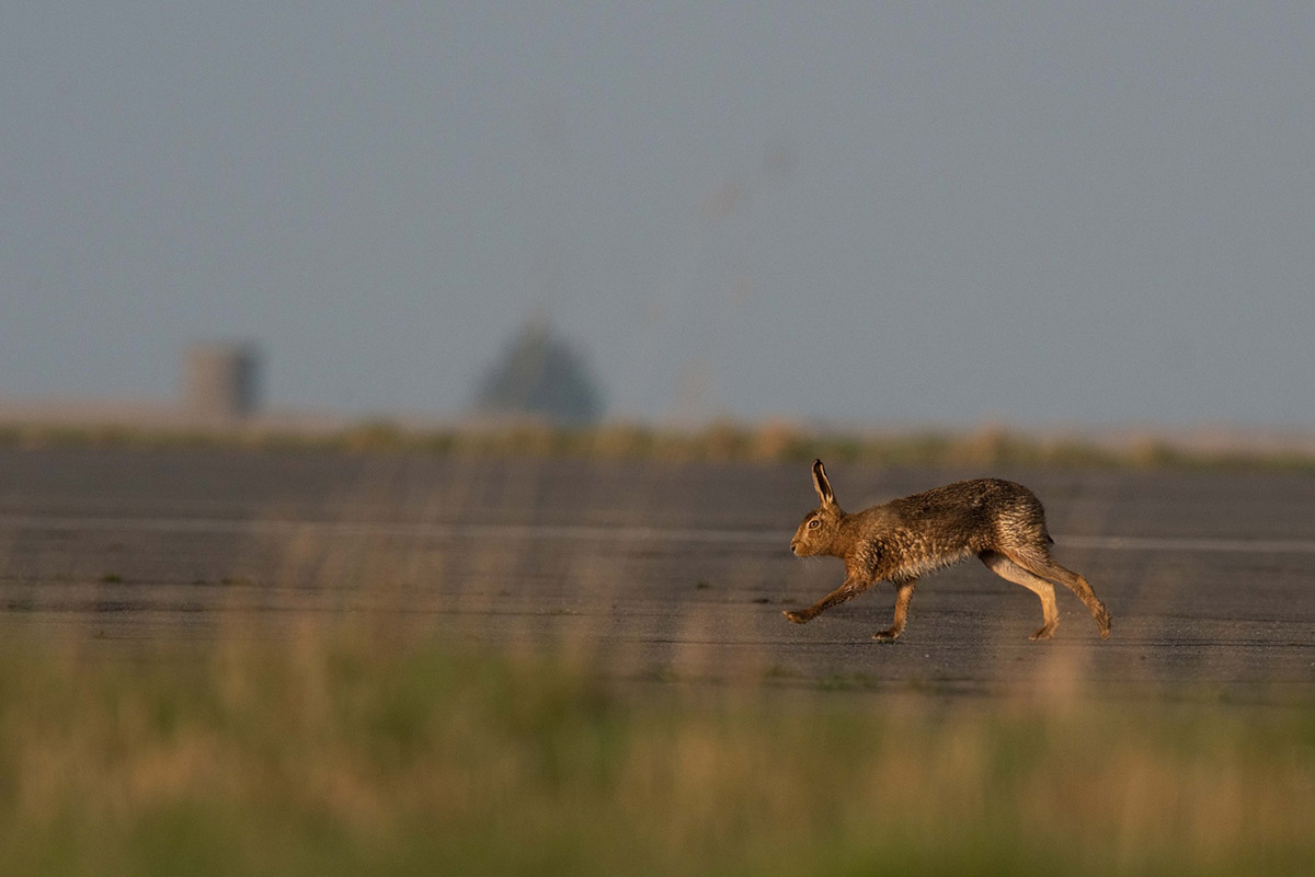 Return to the gallery