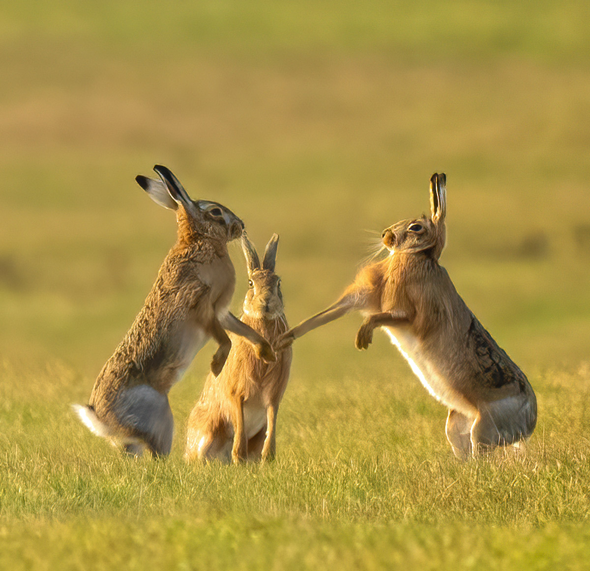 Return to the gallery